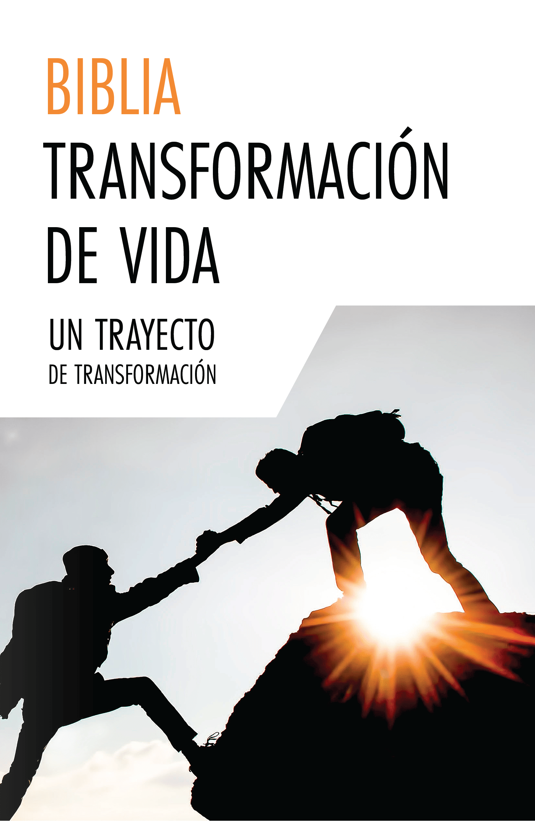 Life Transformation Bible – Alive Church